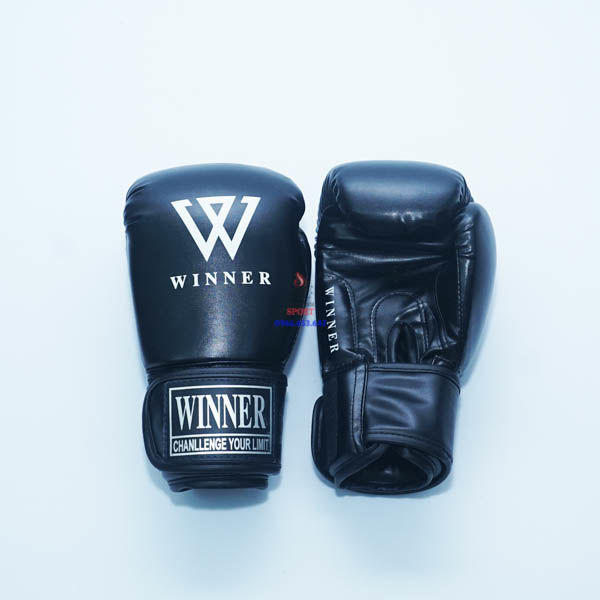 Thái Anh Sport. Găng Boxing Hiệu Winner Thi Đấu (Có Túi Vải)